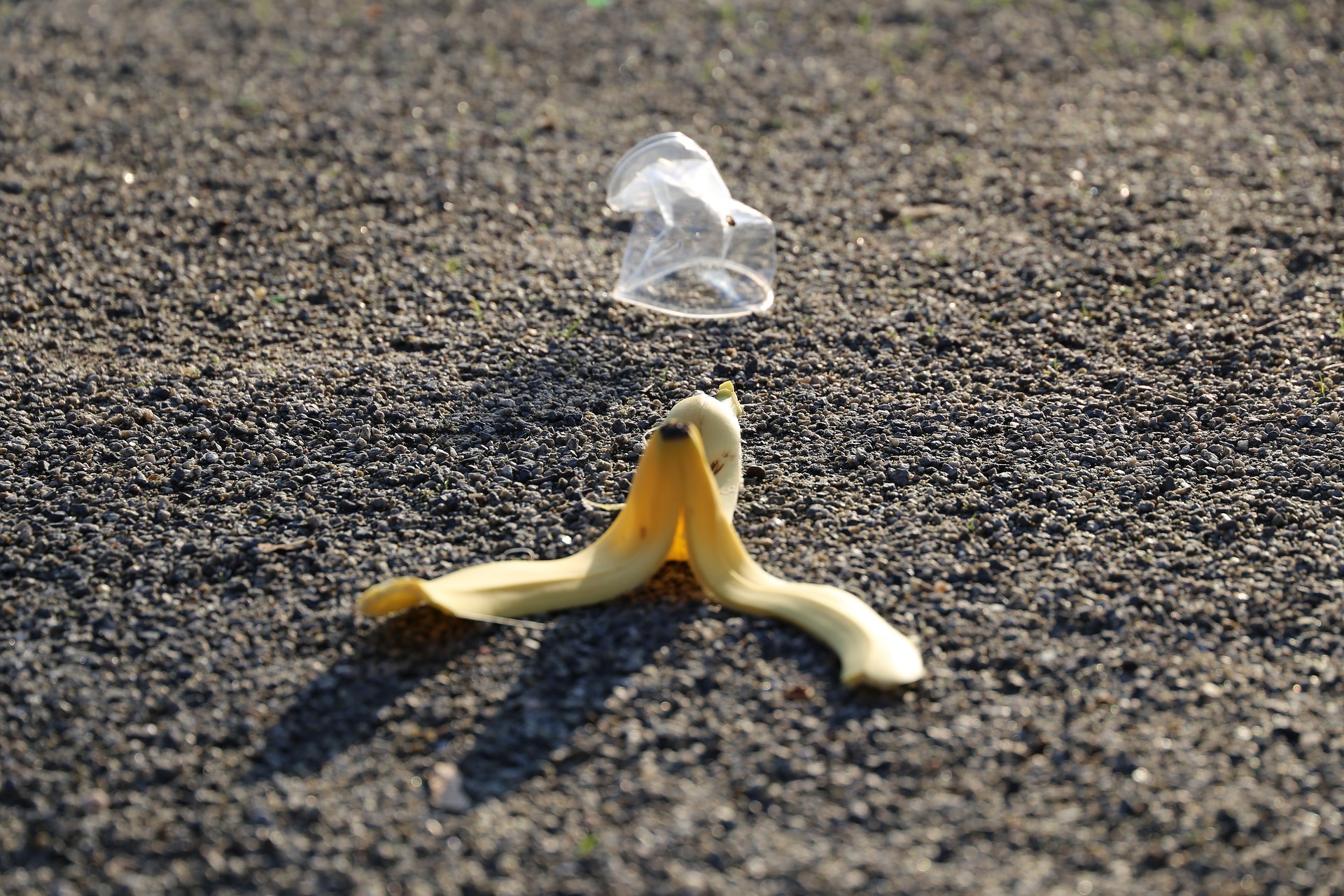 Food Waste Can Be Used In The Manufacturing Of Biofuels And Bioplastics ...
