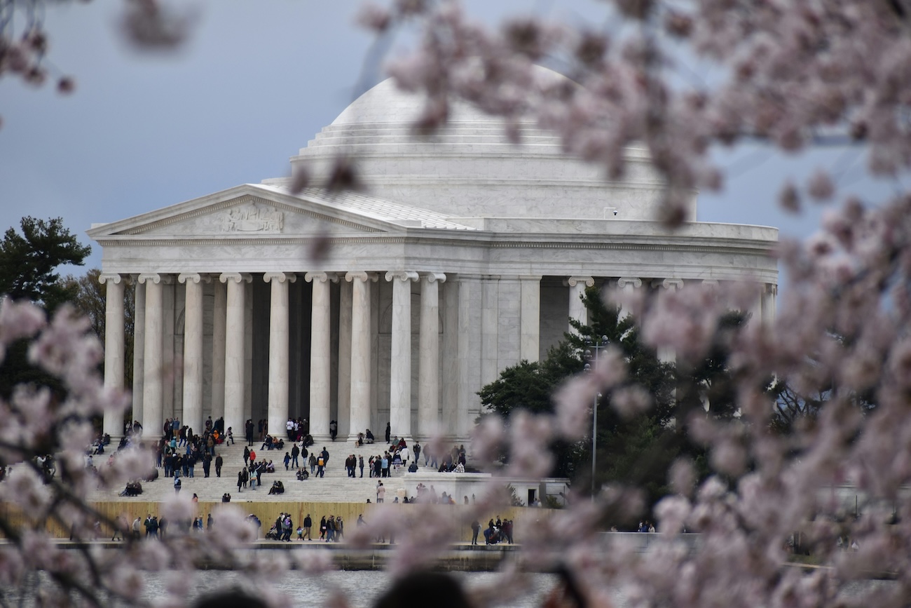 Plan Your Perfect Weekend At DC's Cherry Blossom Festival - The ...